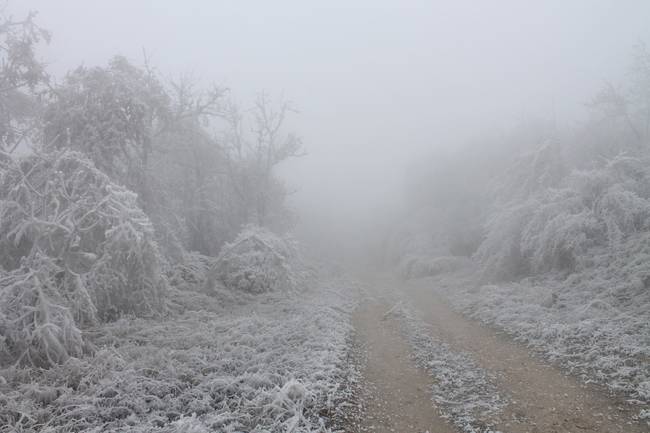 Qualquer um que vir este nevoeiro raro e estranho de perto deve correr ...